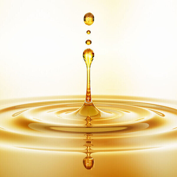 Registration now open for Society of Tribologists and Lubrication ...